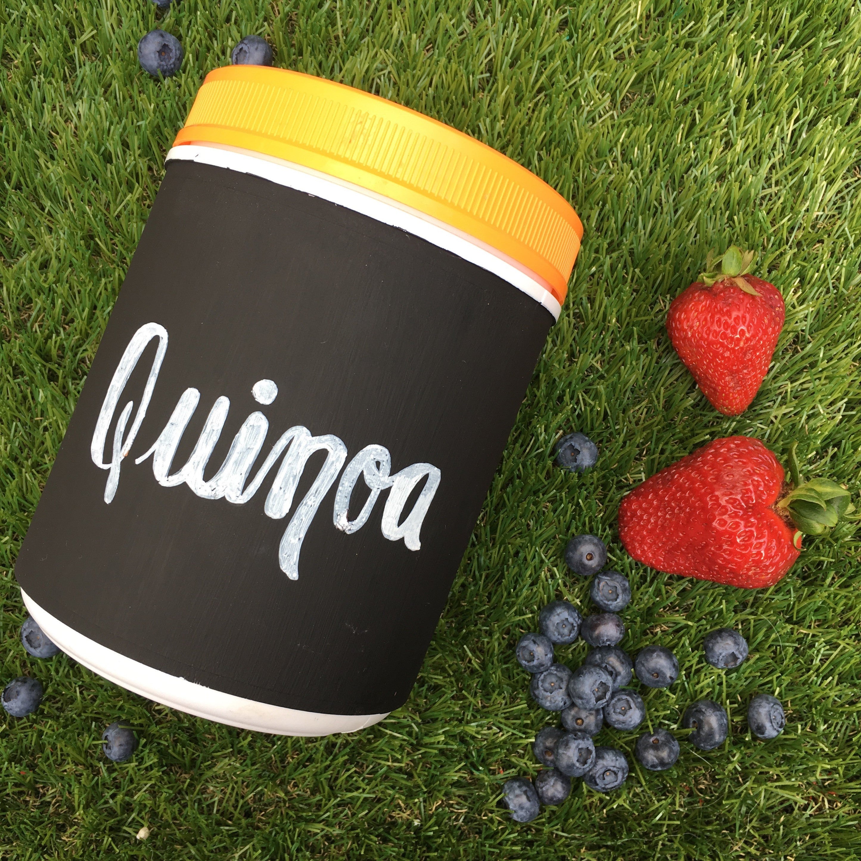 Ideas to Reuse or Repurpose Plastic Protein Canisters – Growing Naturals